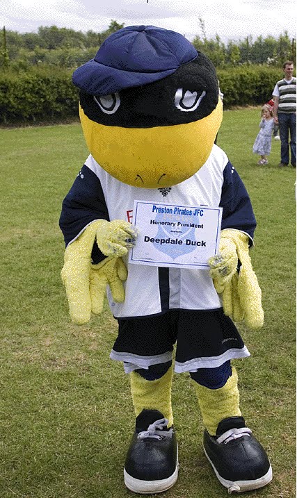 Picture of Deepdale Duck