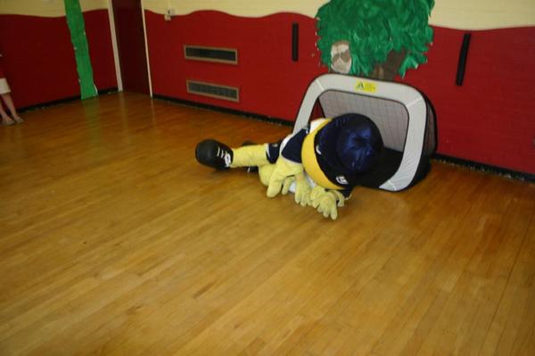 Picture of Deepdale Duck