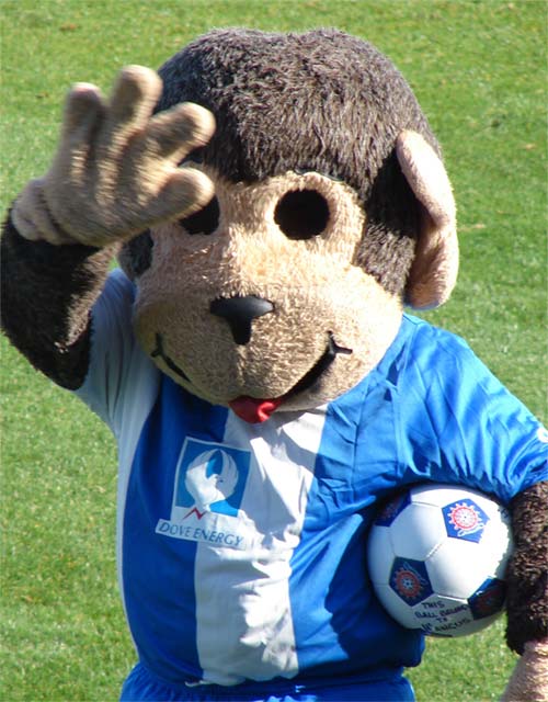 Picture of H'Angus the Monkey