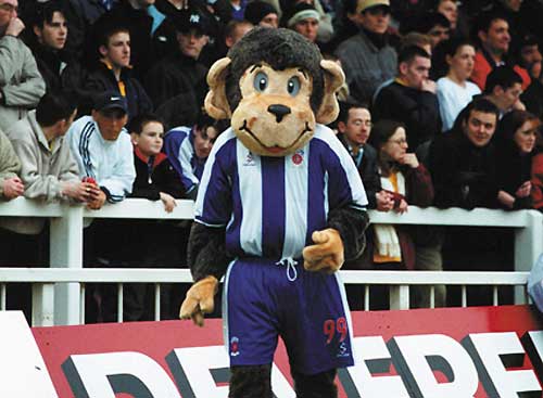 H'Angus the Monkey picture