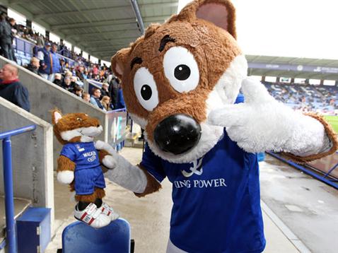 Picture of Filbert Fox