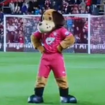 Image of Sammy the Saint