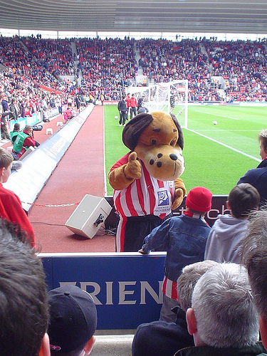 Picture of Sammy the Saint