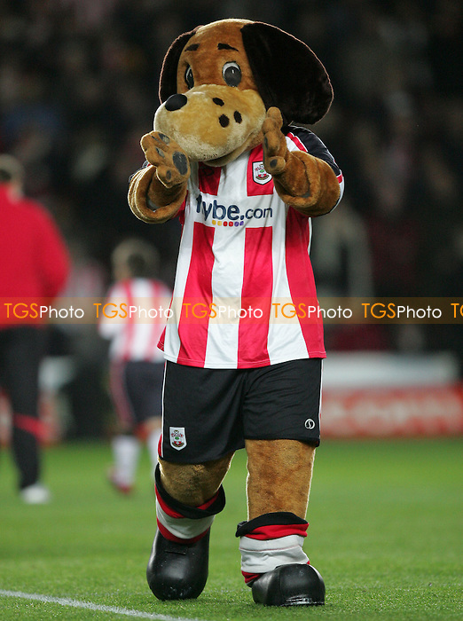 Sammy the Saint picture