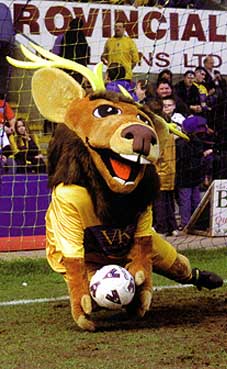 Picture of Sammy the Stag