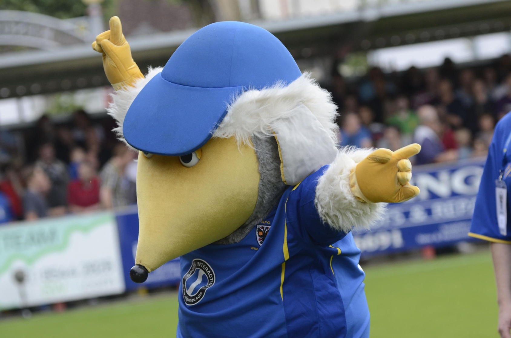 Picture of Haydon the Womble