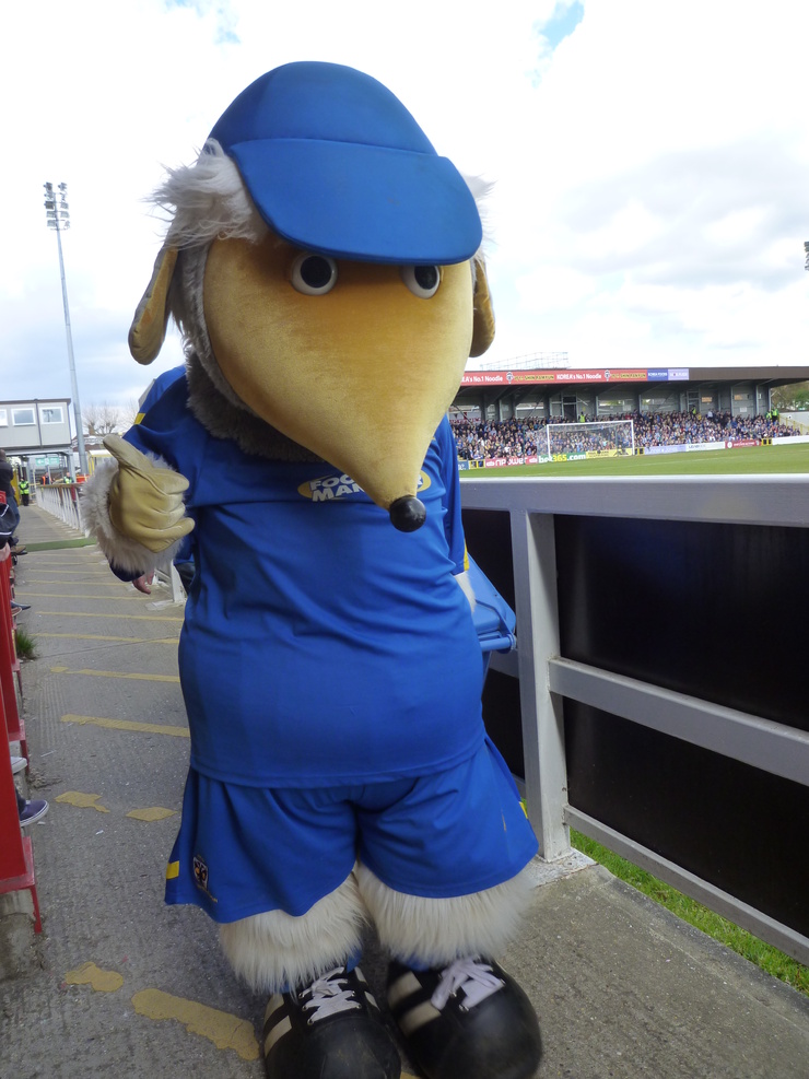 Haydon the Womble picture