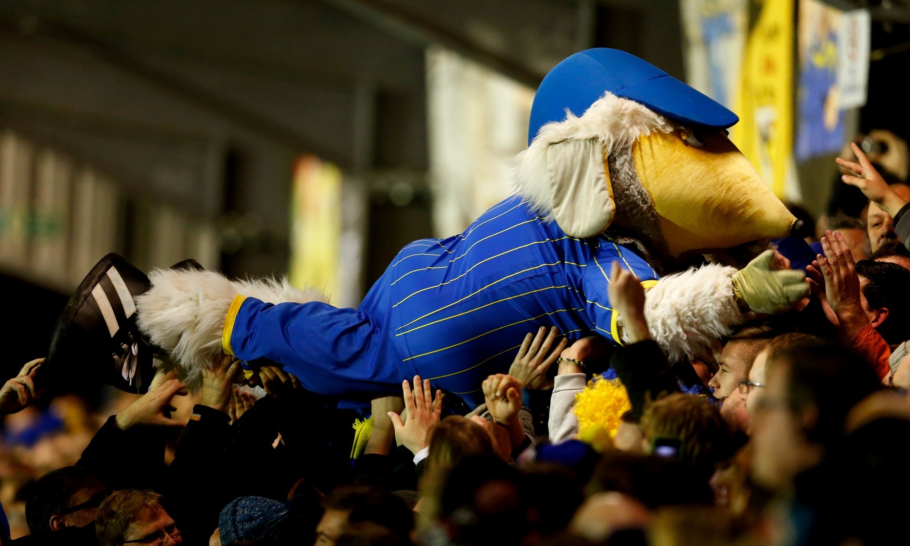 Haydon the Womble picture