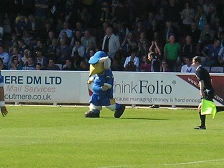 Picture of Haydon the Womble