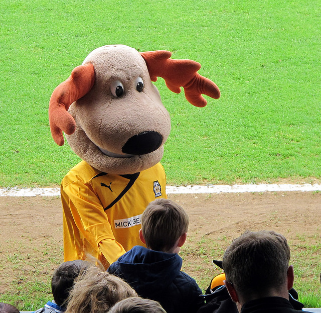 Picture of Marvin the Moose