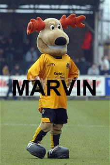 Marvin the Moose picture