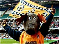 Picture of Marvin the Moose