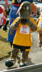 Picture of Marvin the Moose