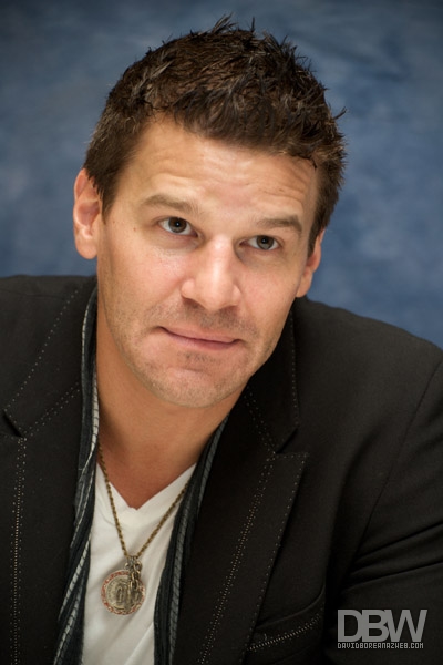 Image of David Boreanaz