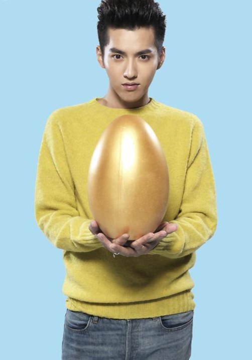 Picture of Wu Yi Fan
