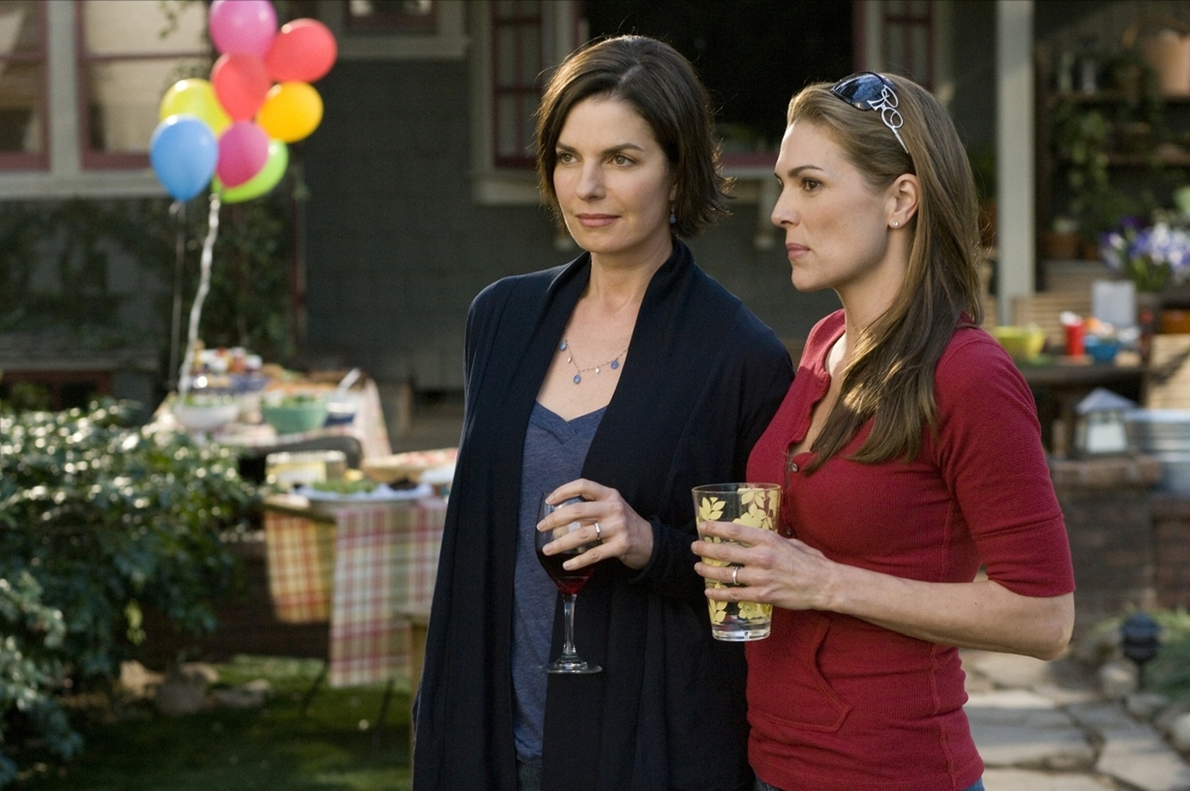 Picture of The Stepfather