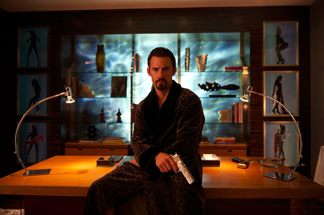 Picture of Wild Card