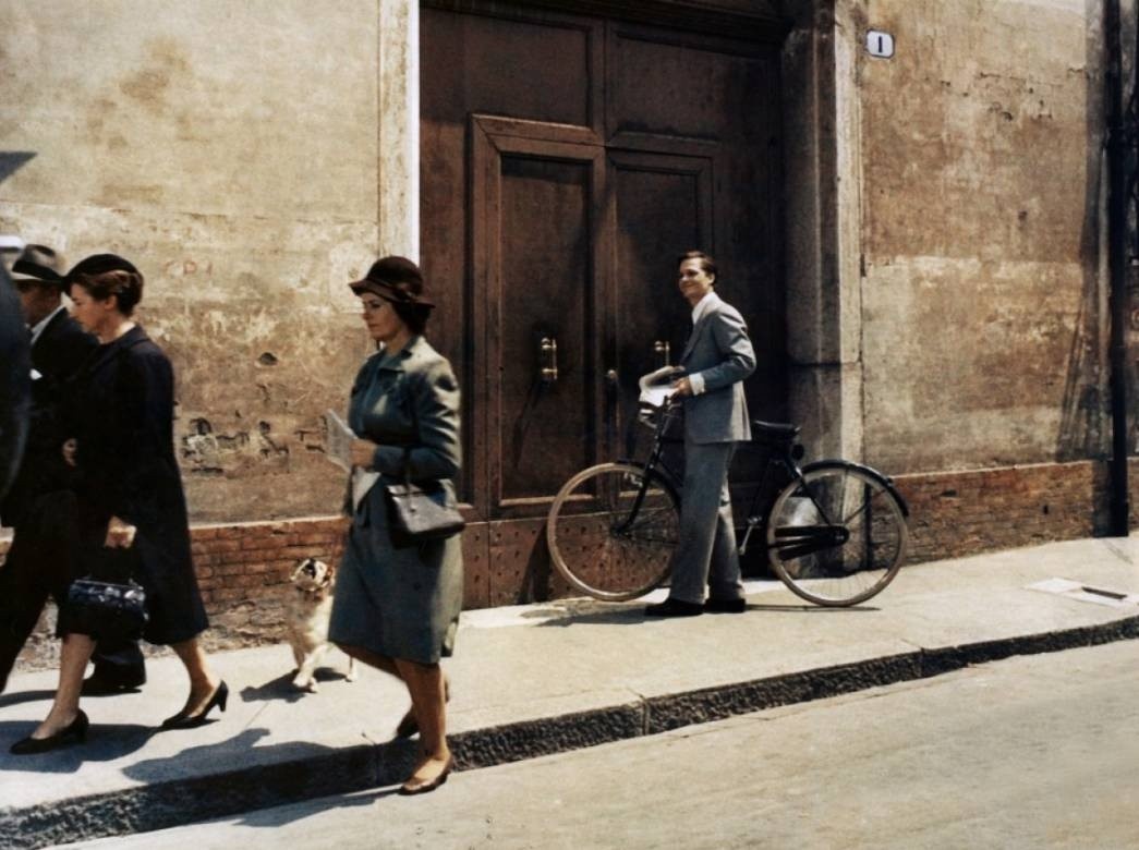 Picture of The Garden of the Finzi-Continis