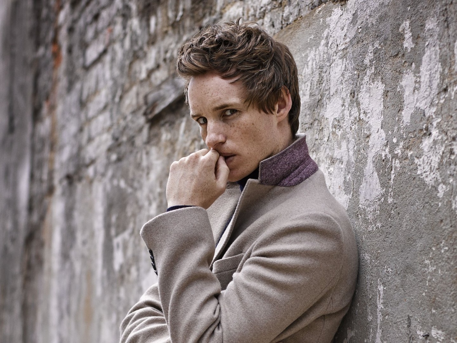 Picture of Eddie Redmayne