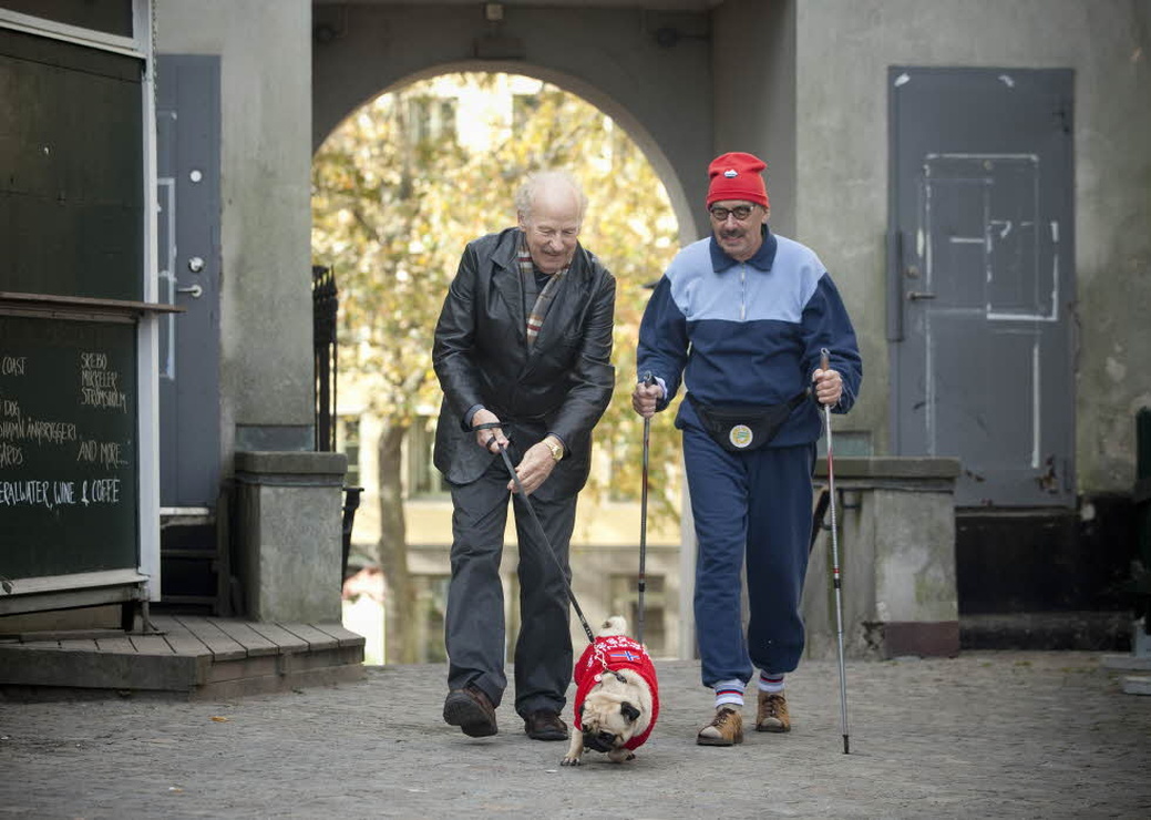 Picture of The Stig-Helmer Story