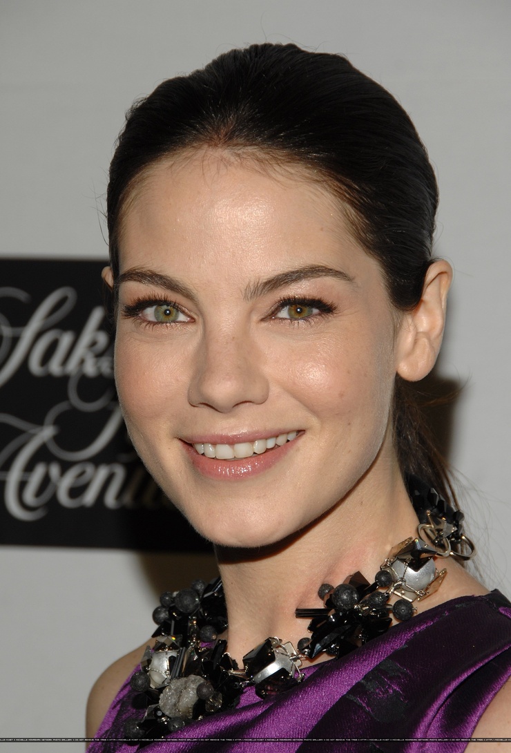 Michelle Monaghan picture