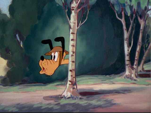 Picture of Private Pluto