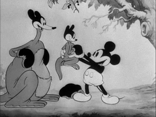 Mickey's Kangaroo picture