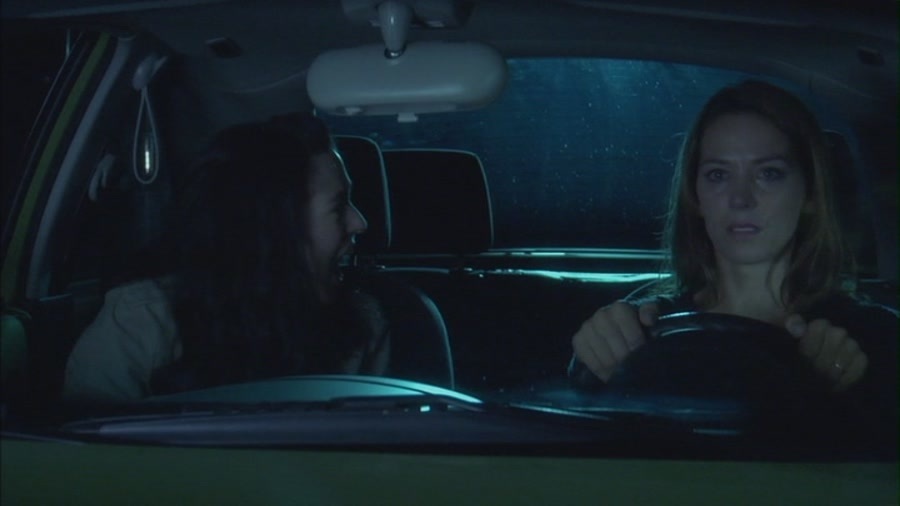 Picture of Masters of Horror: The Screwfly Solution