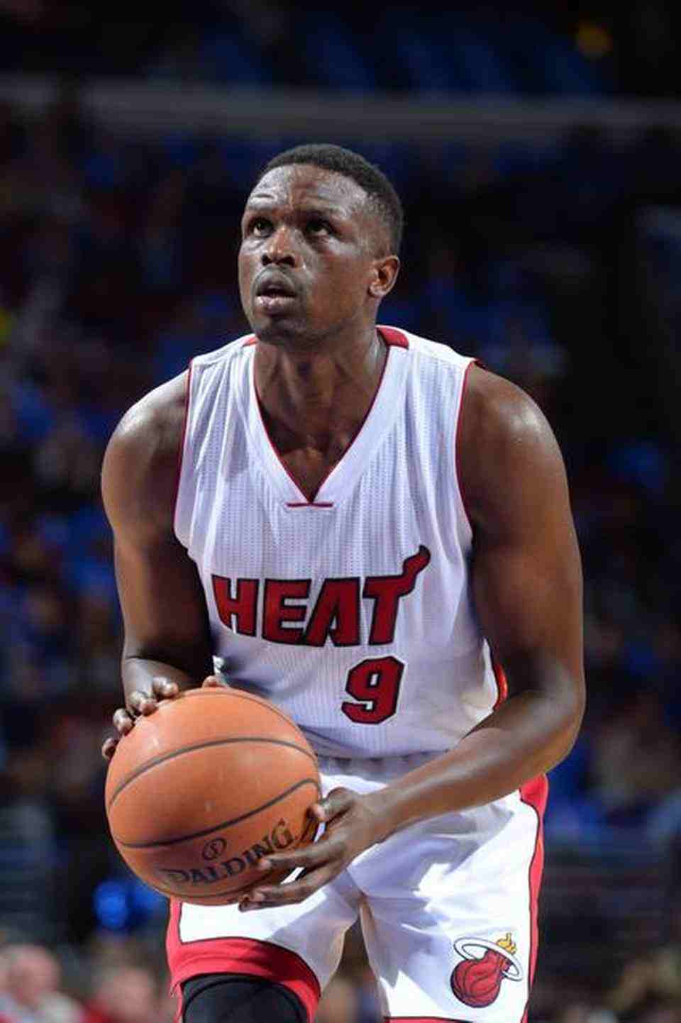 Picture of Luol Deng