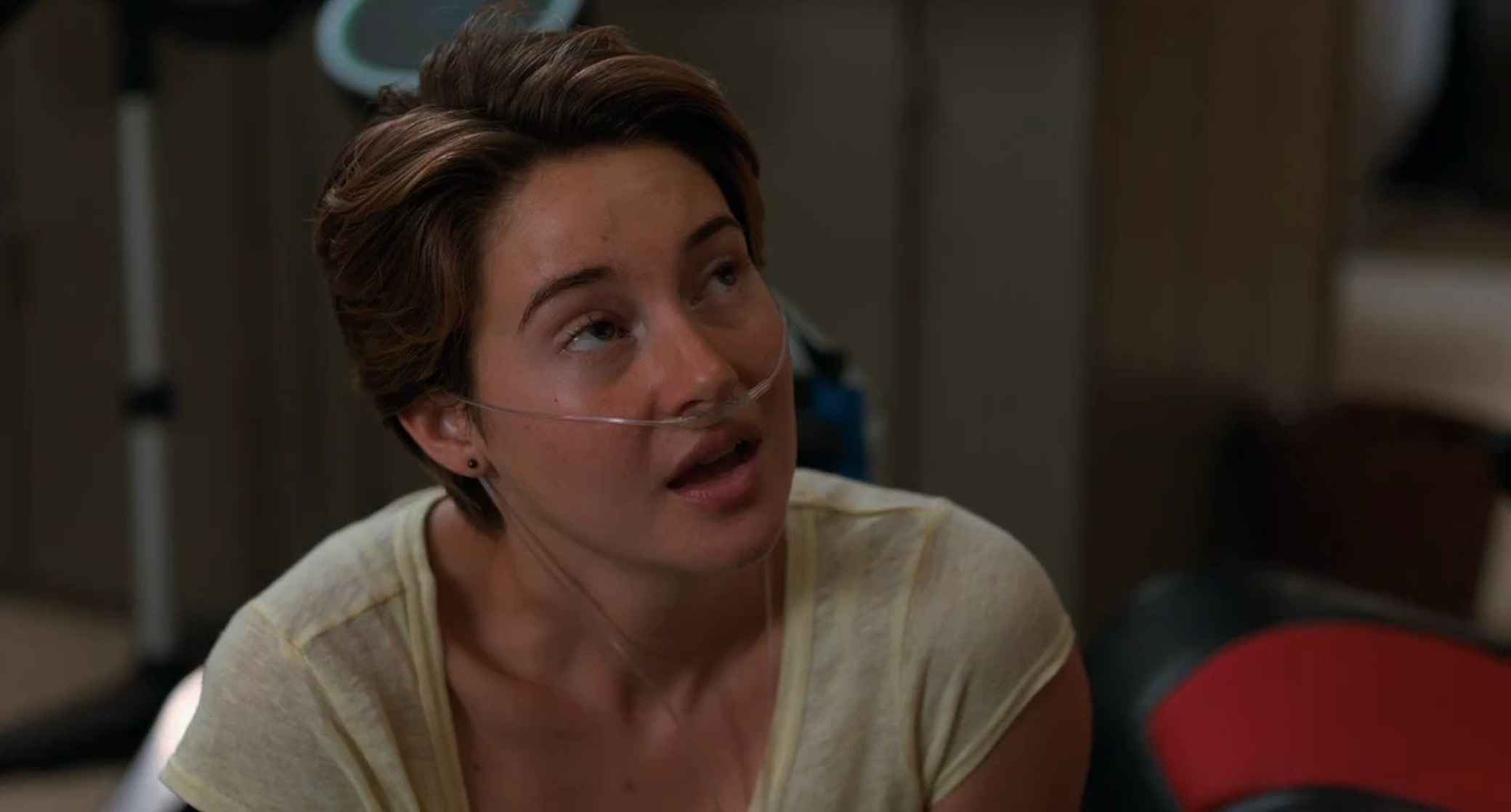 Picture of The Fault in Our Stars