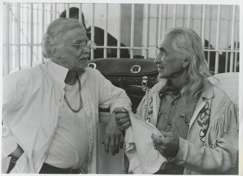 Picture of Harry and Tonto (1974)