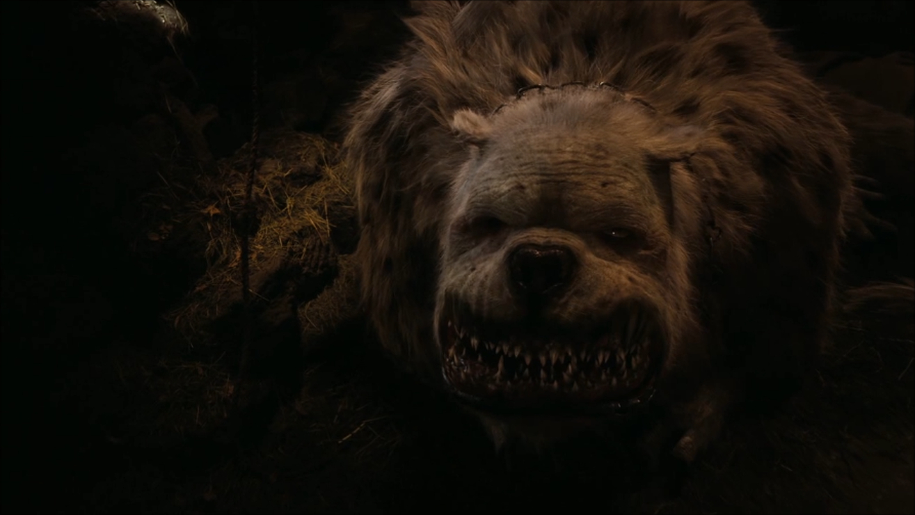 Picture of Alice in Wonderland (2010)