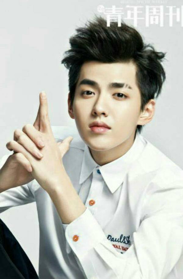 Wu Yi Fan picture