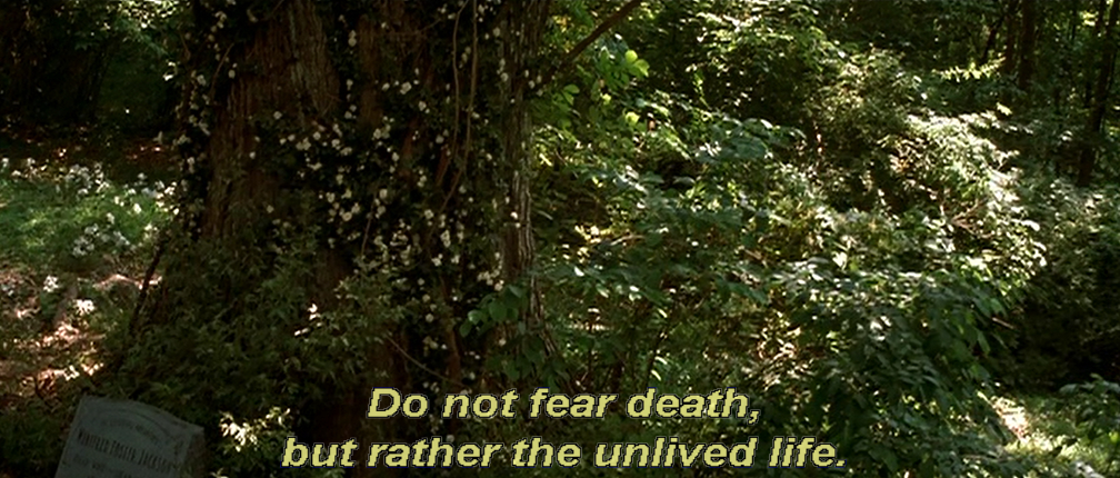 Picture of Tuck Everlasting