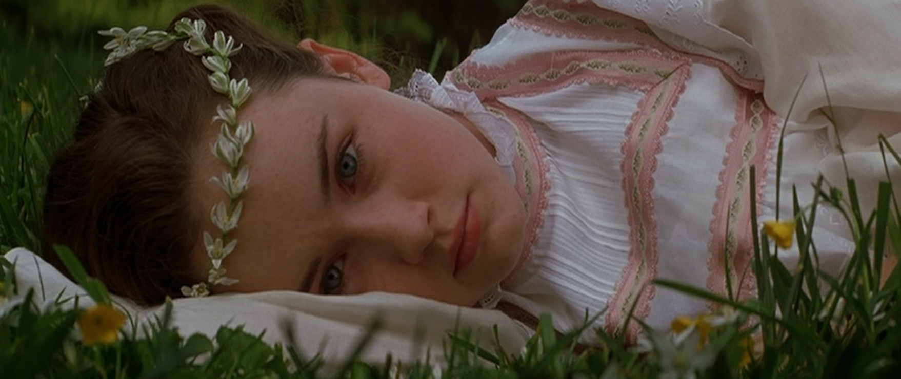 Picture of Tuck Everlasting