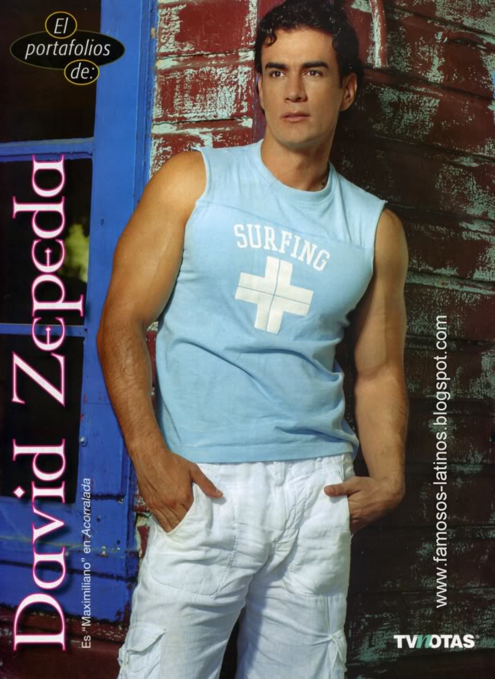 Picture of David Zepeda