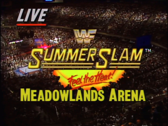 Picture of WWF Summerslam '89