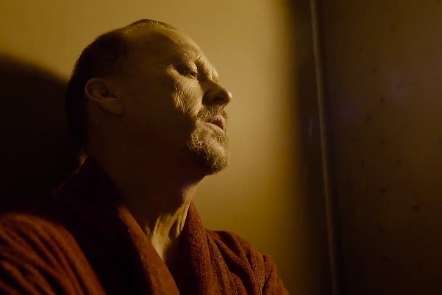 Picture of Birdman or (The Unexpected Virtue of Ignorance)