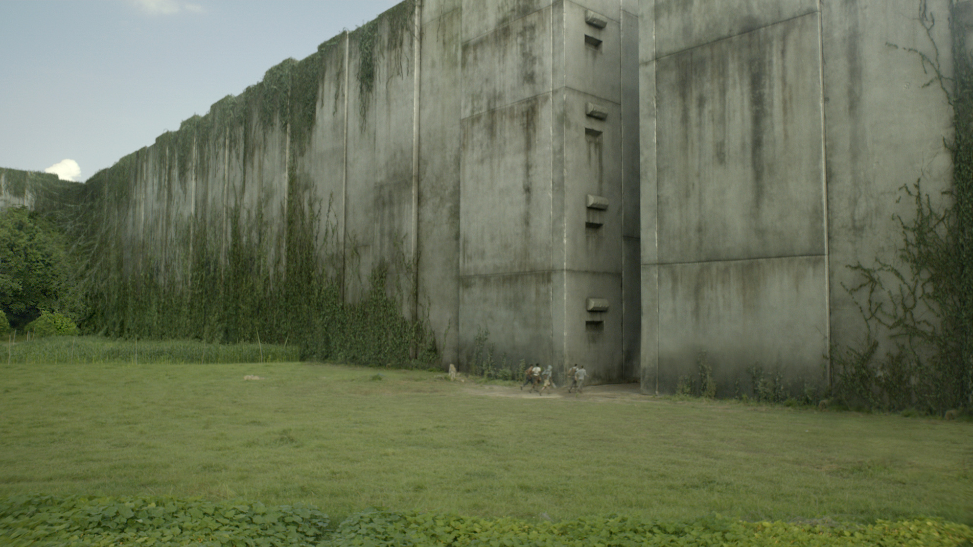 Picture of The Maze Runner