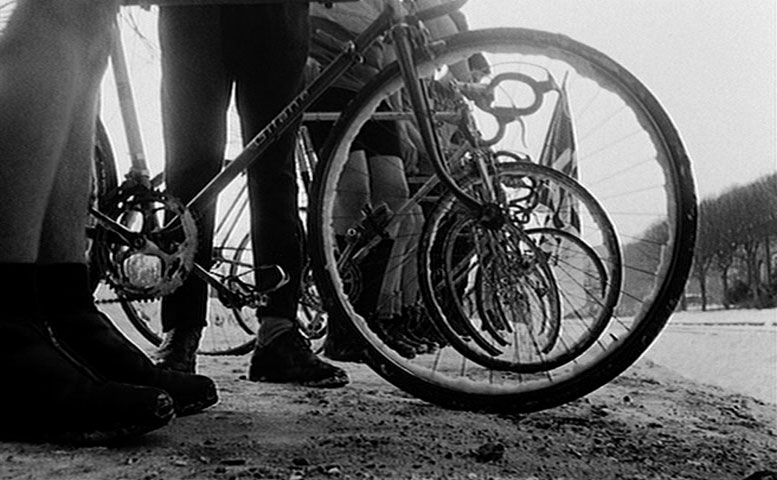 Picture of Who Are You, Polly Maggoo?