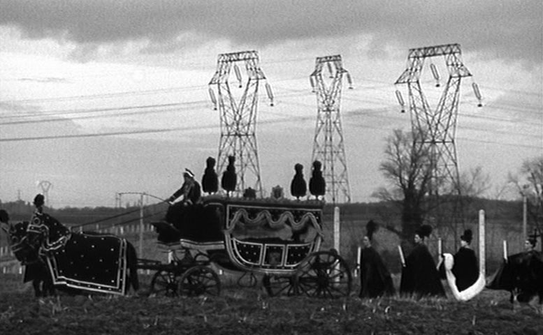 Picture of Who Are You, Polly Maggoo?