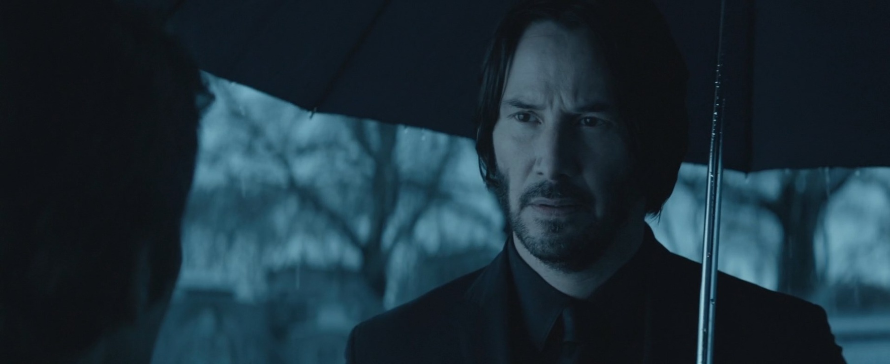 Picture of John Wick