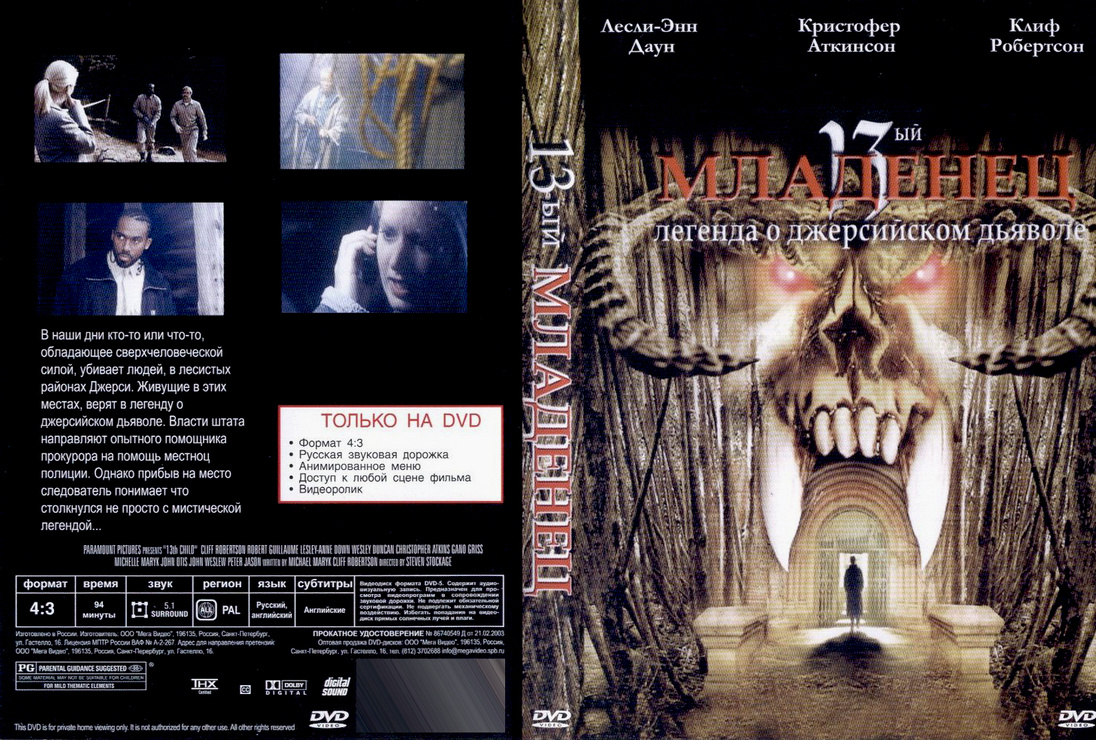 Picture of 13th Child