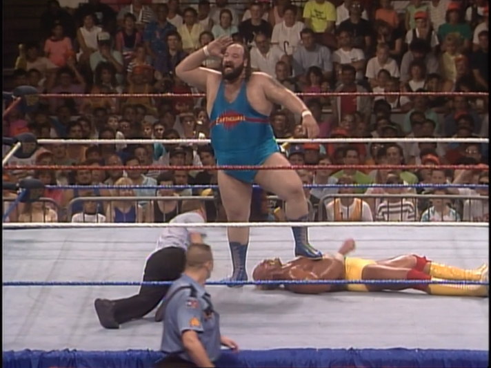 Picture of WWF: Summerslam 1990