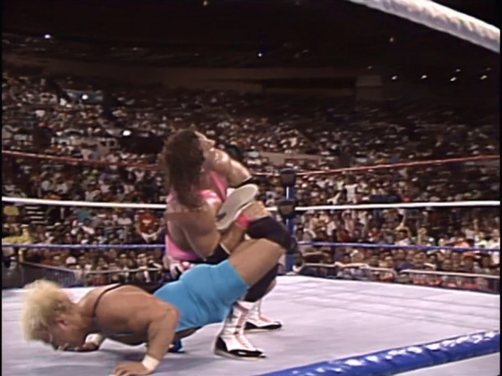 Picture of WWF: Summerslam 1991