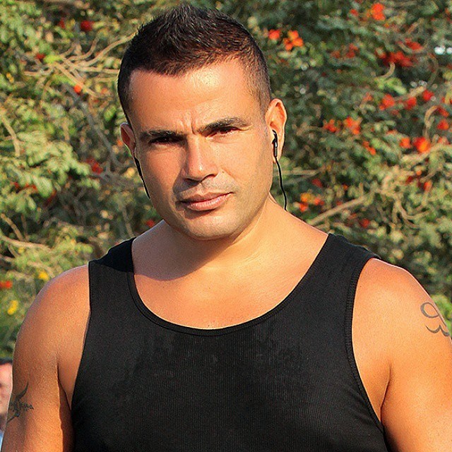 Picture of Amr Diab