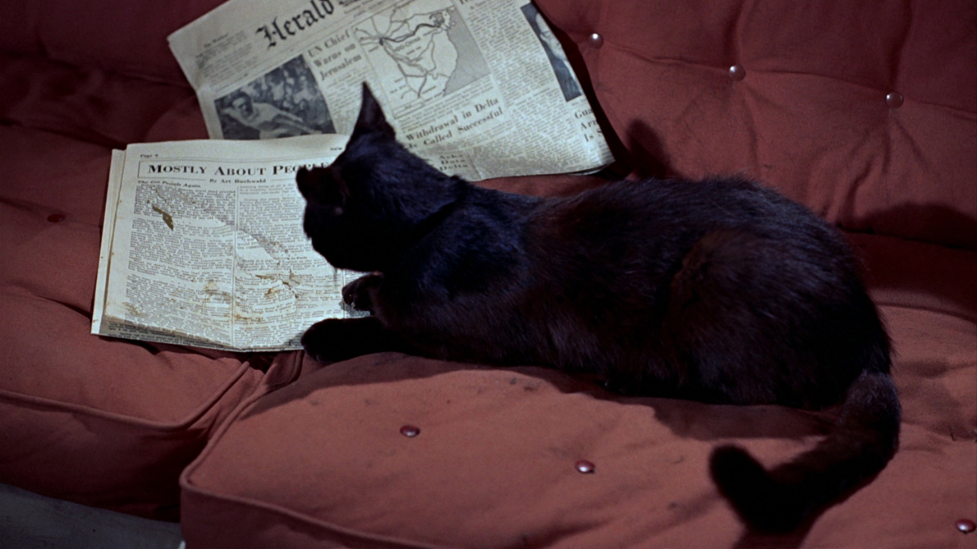 Picture of To Catch a Thief