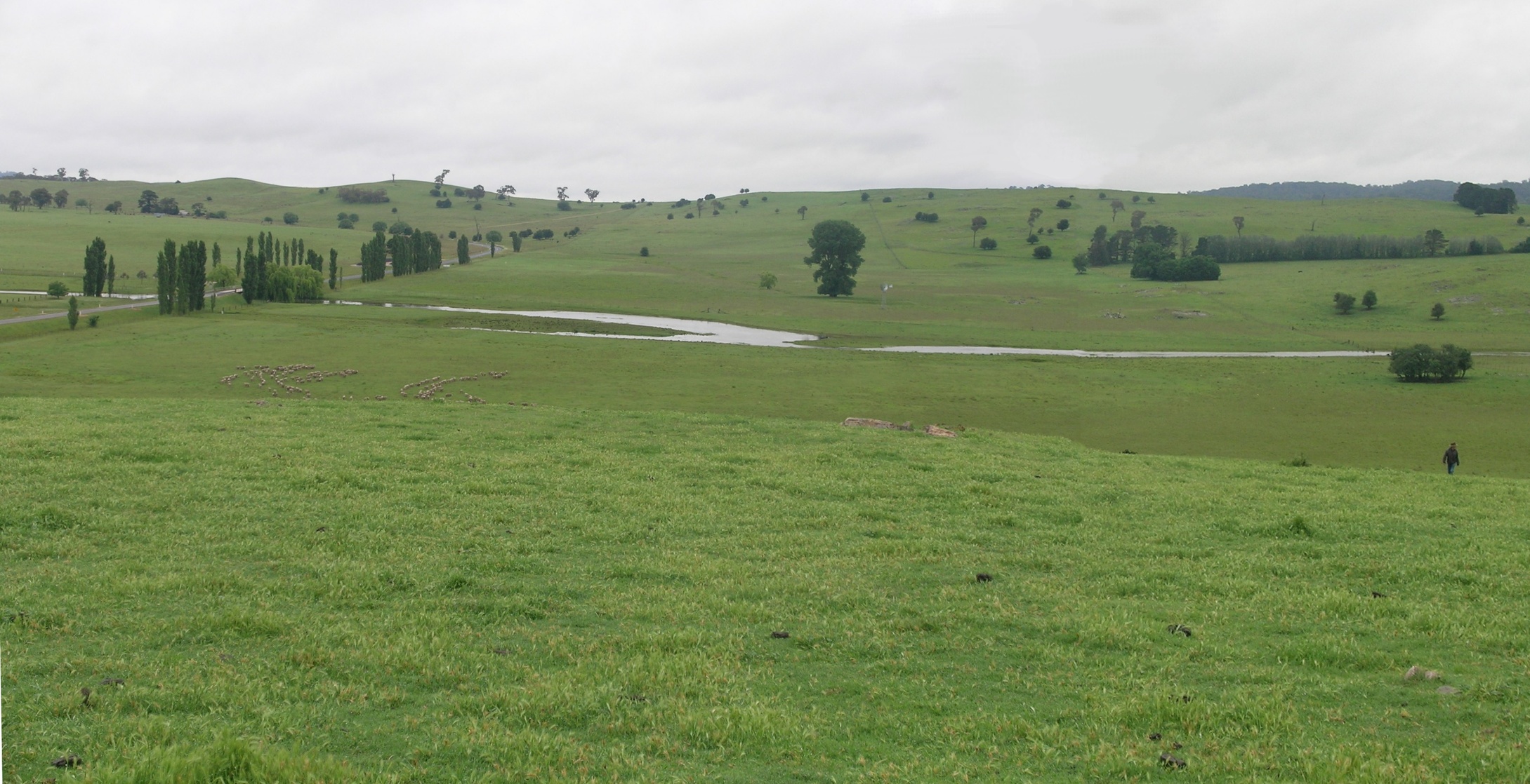 Picture of Northern Tablelands