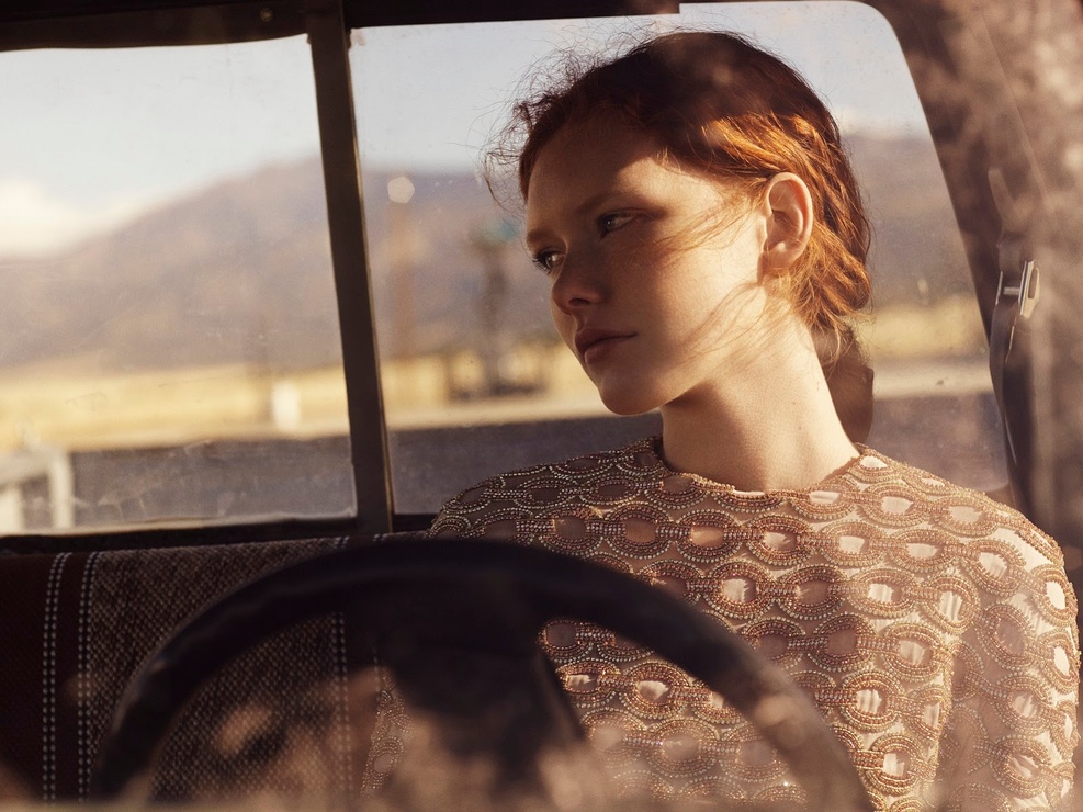 Haley Foster Rohe image