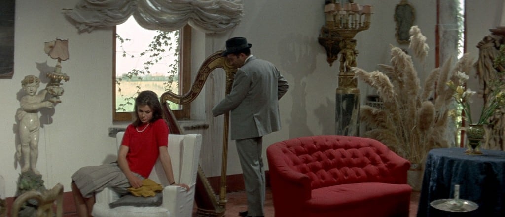 Contempt image